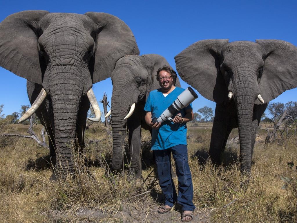 Beppo Niedermeier - Alles Leinwand OÖ